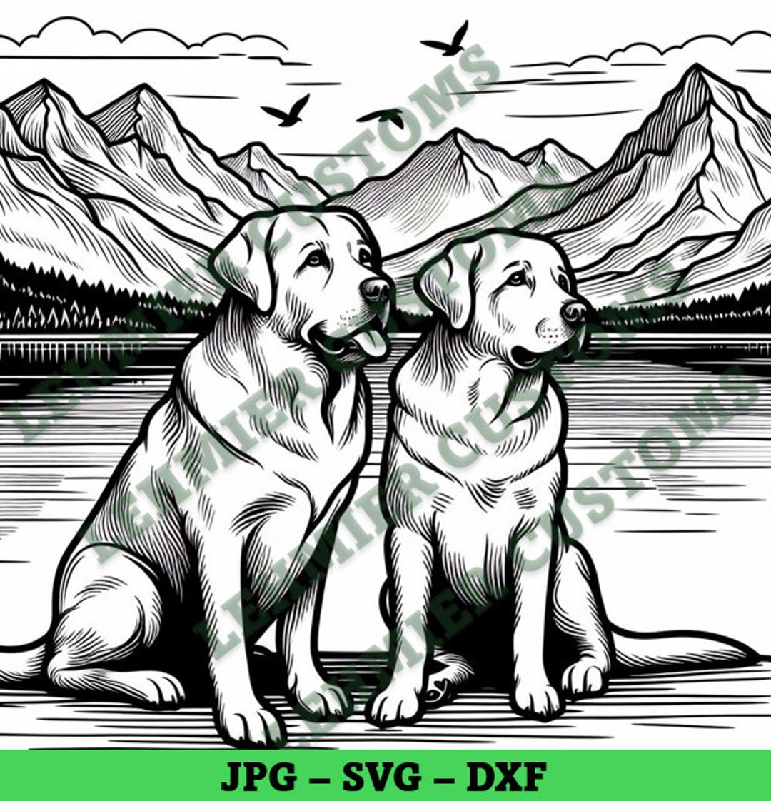 Labrador Retrievers Sitting at Lake, Mountain Dog, Water Dog, Lab ...