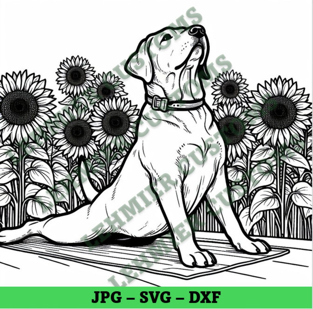 Labrador Retriever Doing Yoga, Yoga Pose, Flower Dog, Labrador Clipart ...