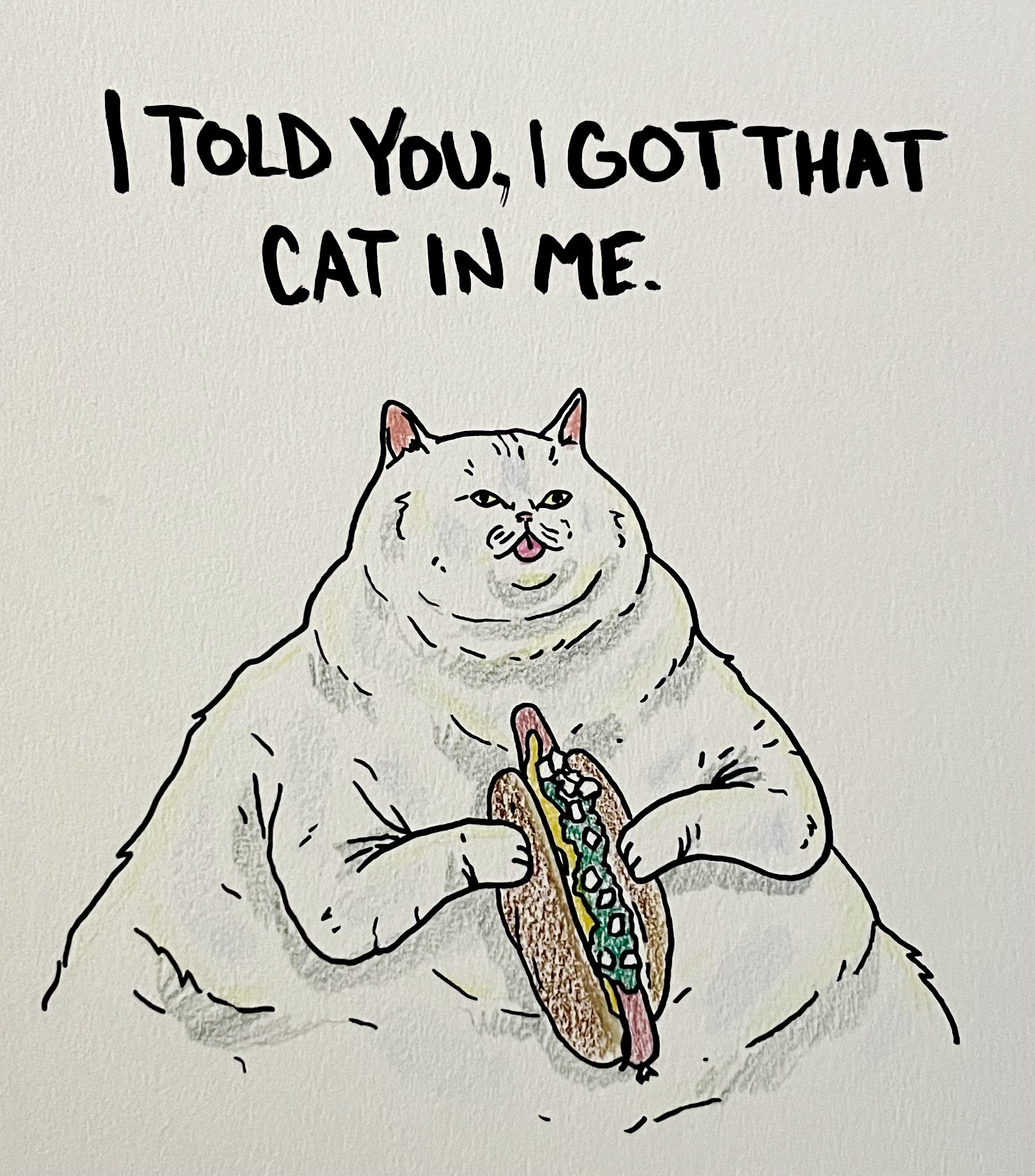 Youve Got This Cat