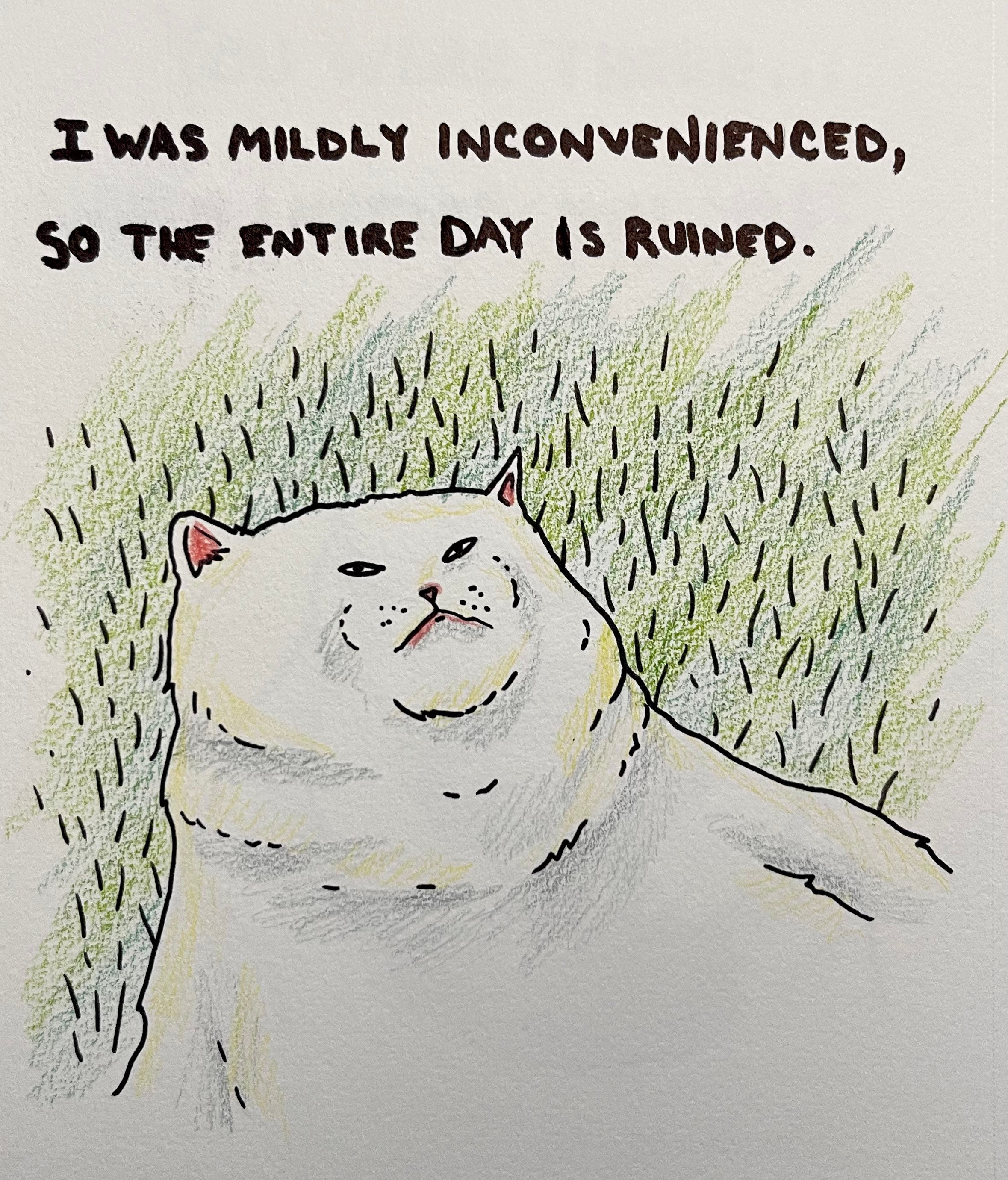 Mildly Inconvenienced - PRINT - Etsy