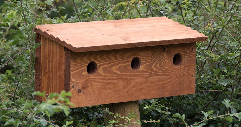 Sparrows Terrace Nest Box - Etsy UK