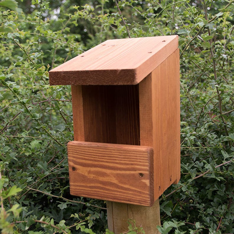 Classic Multi Species Nest Box Open Fronted | Etsy