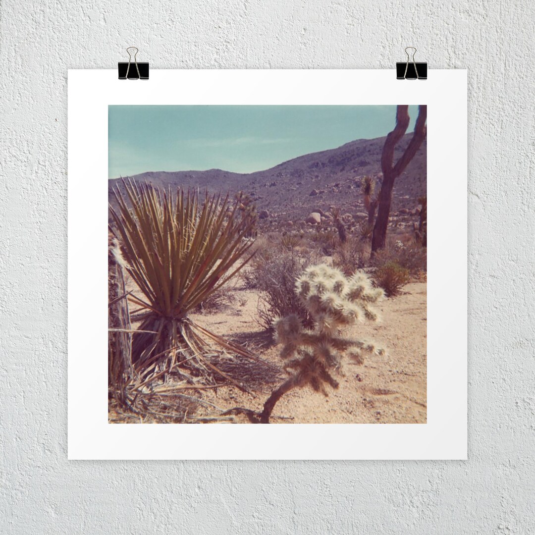 70's Desert Vintage Photo Print, Desert Art, Desert Wall Art, Cactus ...