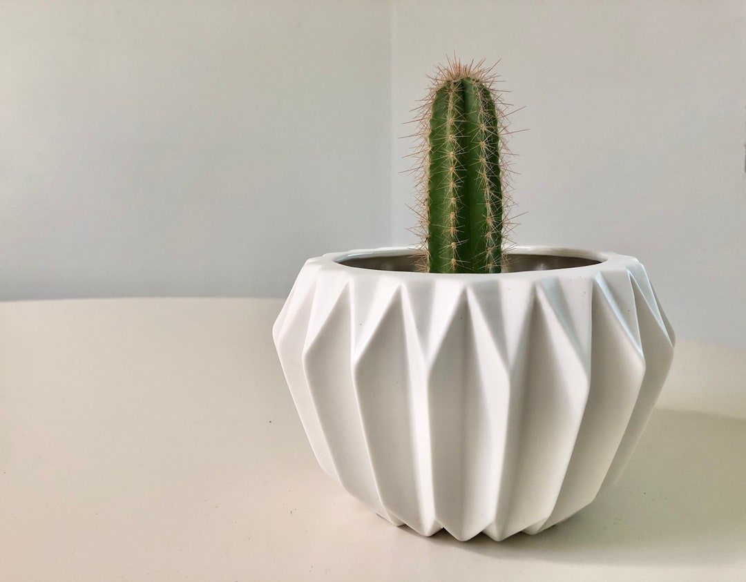 Modern Ceramic Matte White Fluted Pot - Etsy