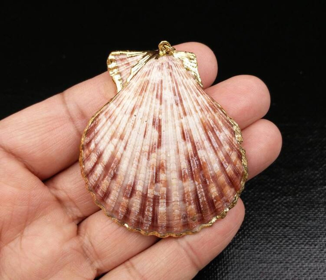 Natural Seashell Pendant Fan Shaped Shell Gold Electroplated Charmbeach ...