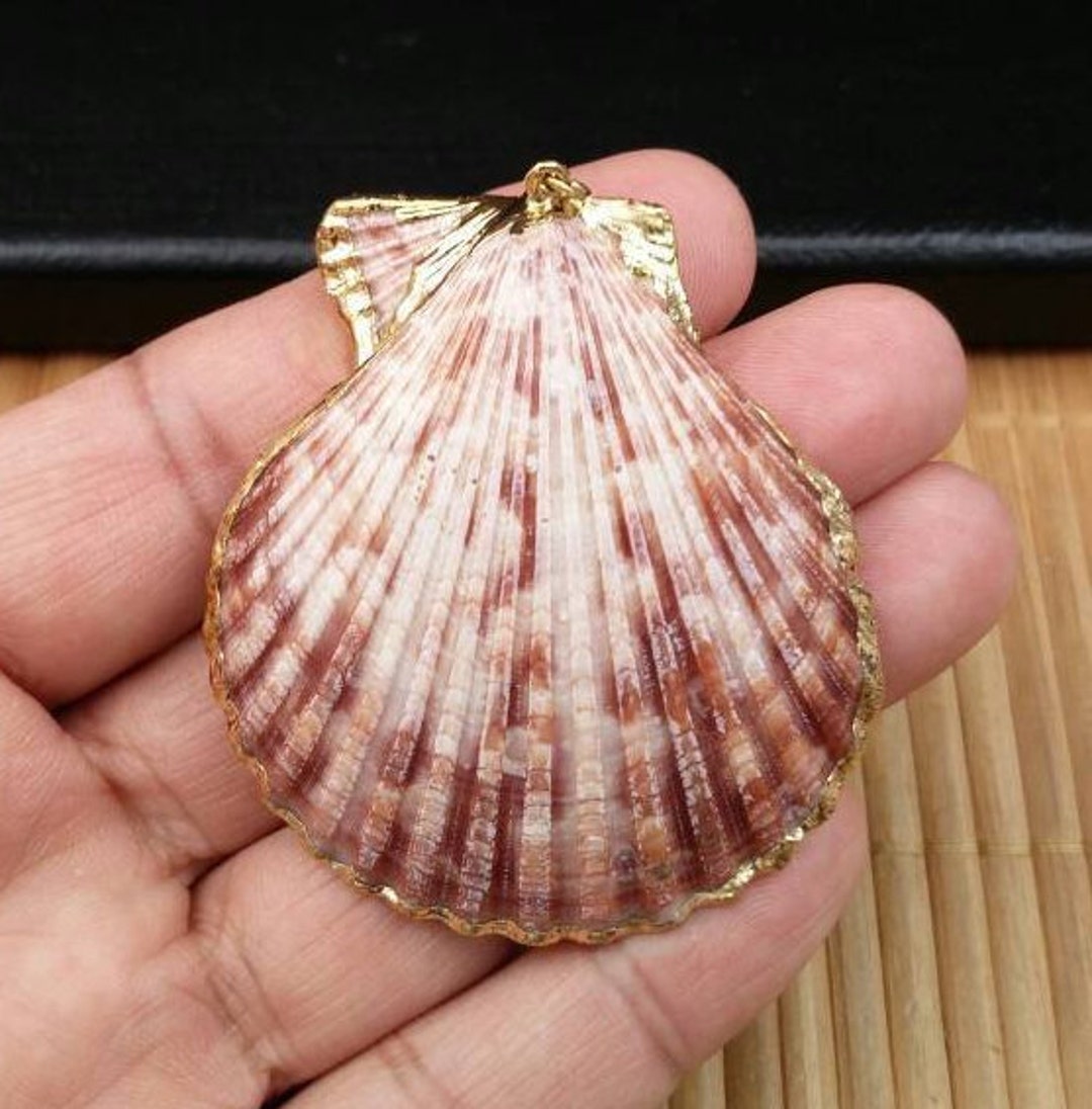 Natural Seashell Pendant Fan Shaped Shell Gold Electroplated Charmbeach ...