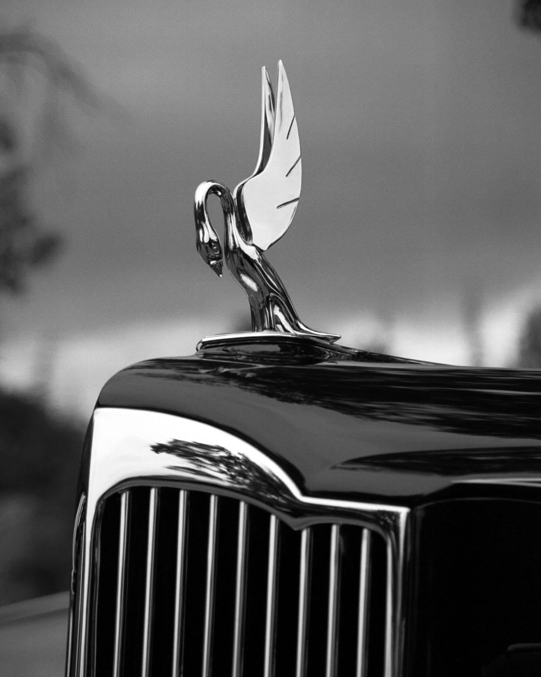 Vintage Packard Poster – Classic Car Wall Art | Retro Automobile Canvas ...
