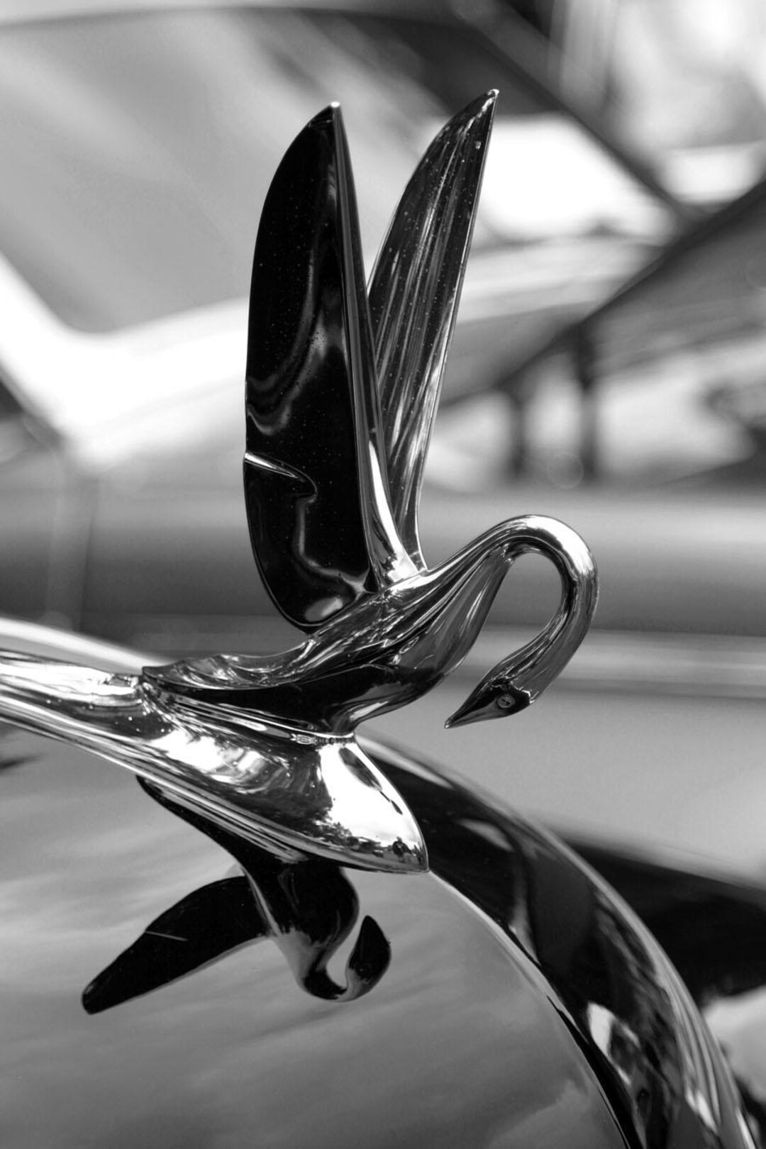 Vintage Packard Poster – Classic Car Wall Art | Retro Automobile Canvas ...