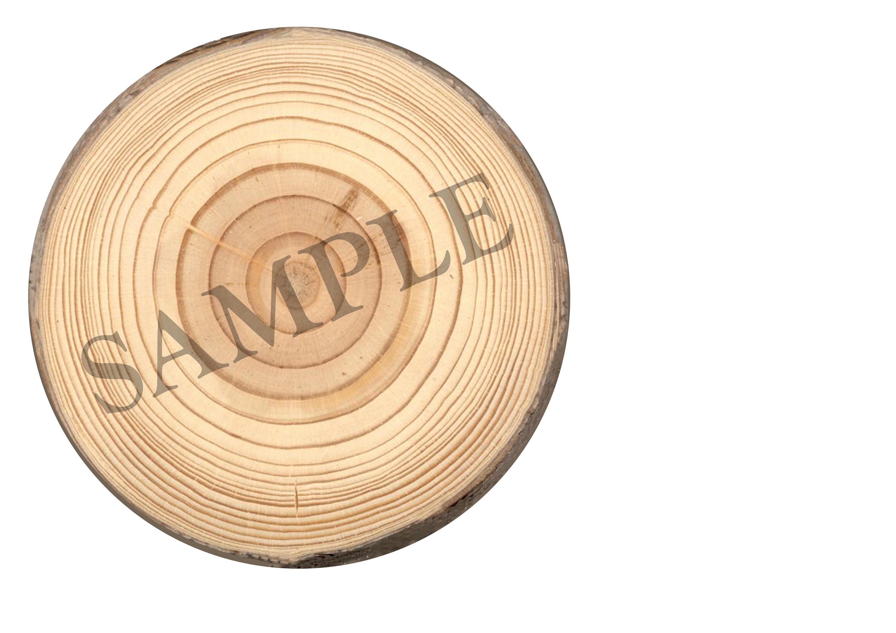 Edible Image Birch Tree Bark Cake Strips and Wood Rings Sheets ...