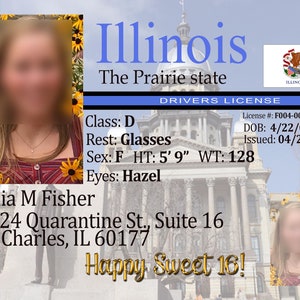 Any State - Sweet Sixteen Drivers License Birthday Edible Cake Toppers ...