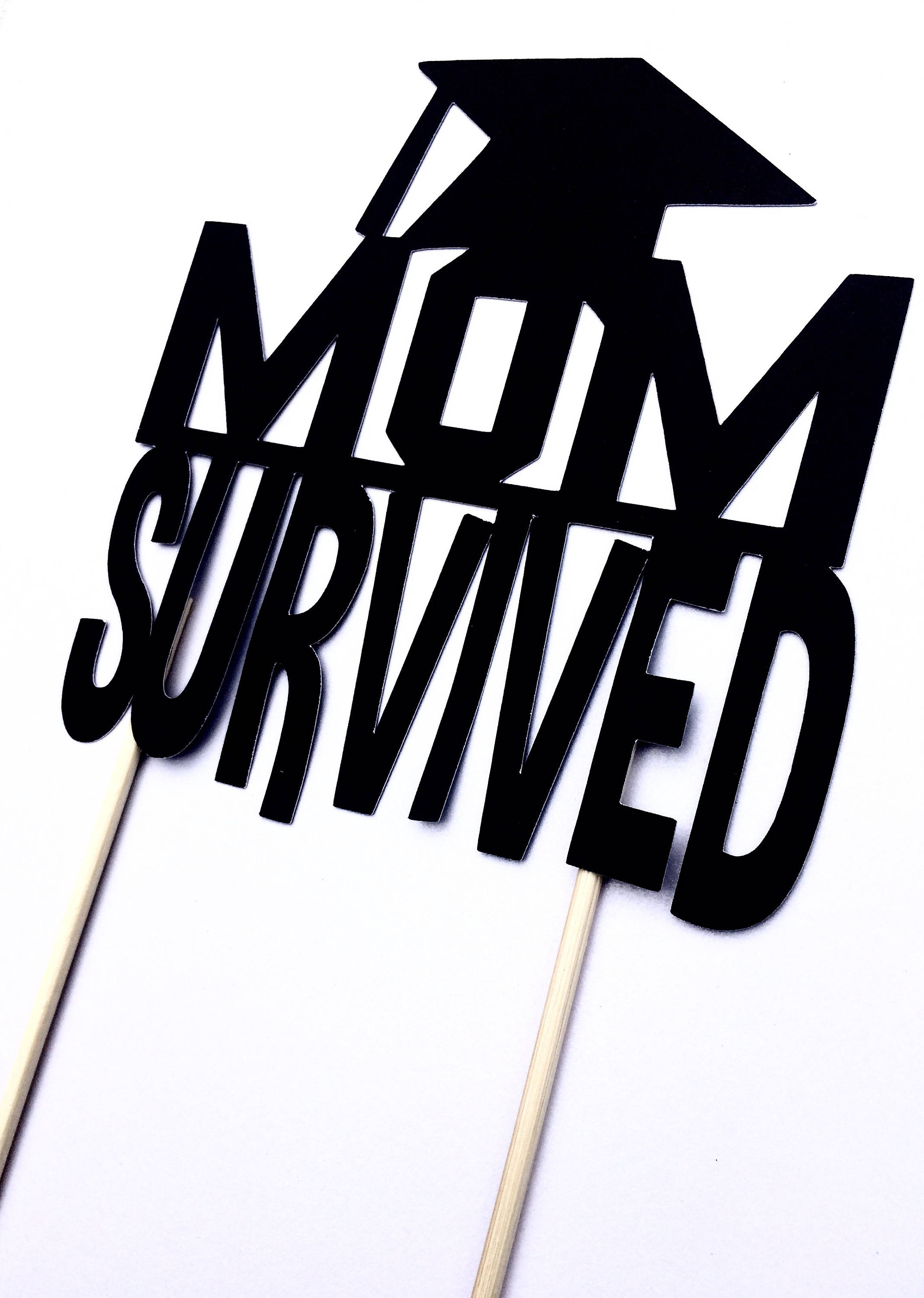 Graduation Cake Topper, Funny Graduation, Congrats Grad, Graduation ...