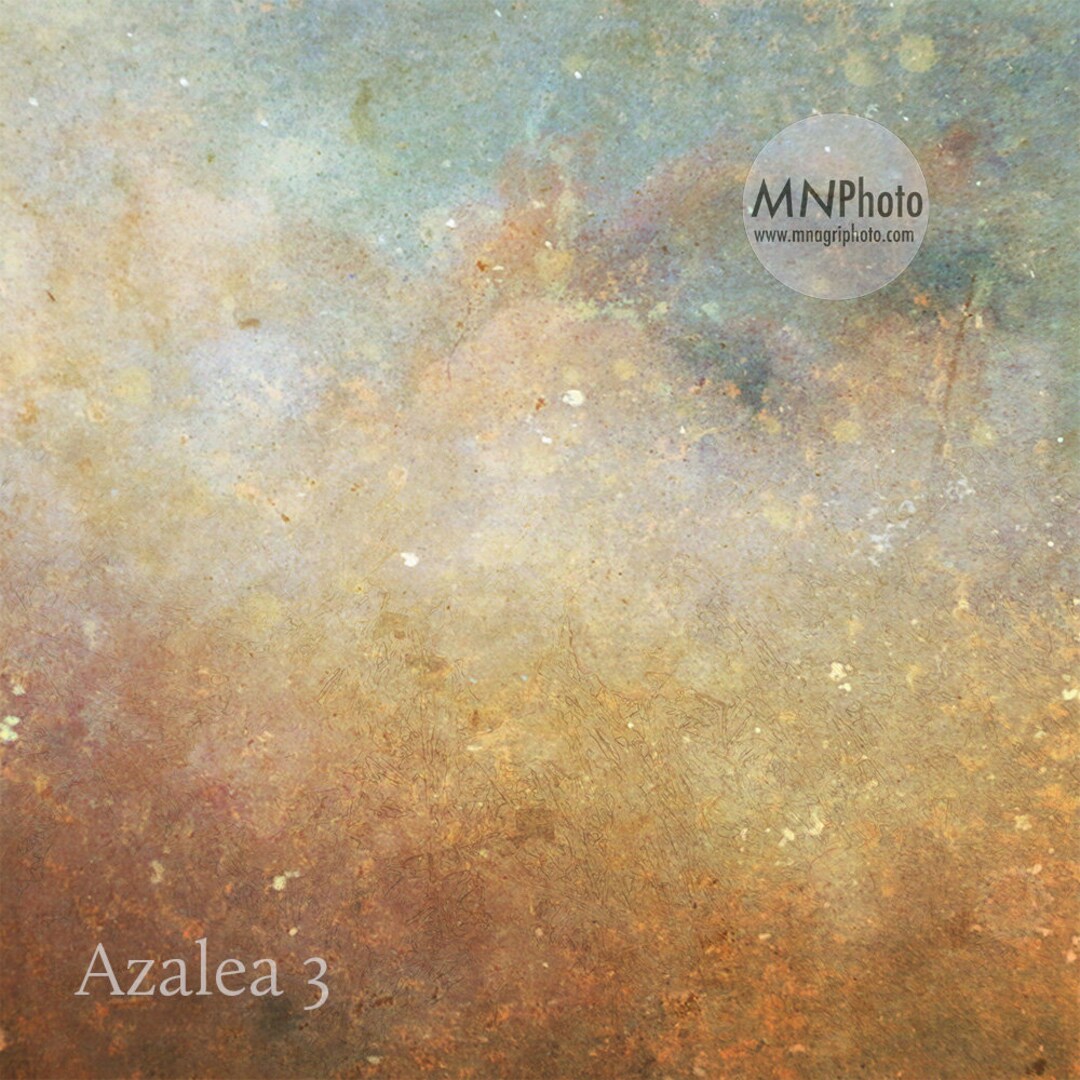 Azalea 3 Texture Overlay Photoshop Background Digital Download - Etsy