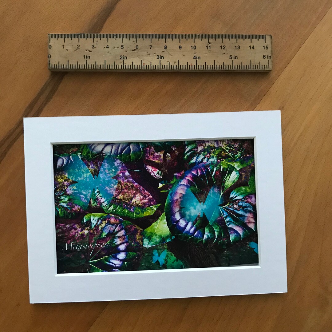 Metamorphosis - Matted Prints - Meditation Series Digital Collage Fine ...