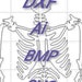 Skeleton Vector Files (dxf, Ai, Bmp, Svg, Pdf) - Etsy