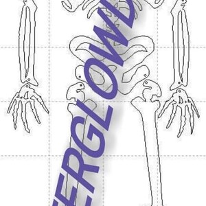 Skeleton Vector Files (dxf, Ai, Bmp, Svg, Pdf) - Etsy