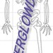 Skeleton Vector Files dxf, Ai, Bmp, Svg, Pdf - Etsy
