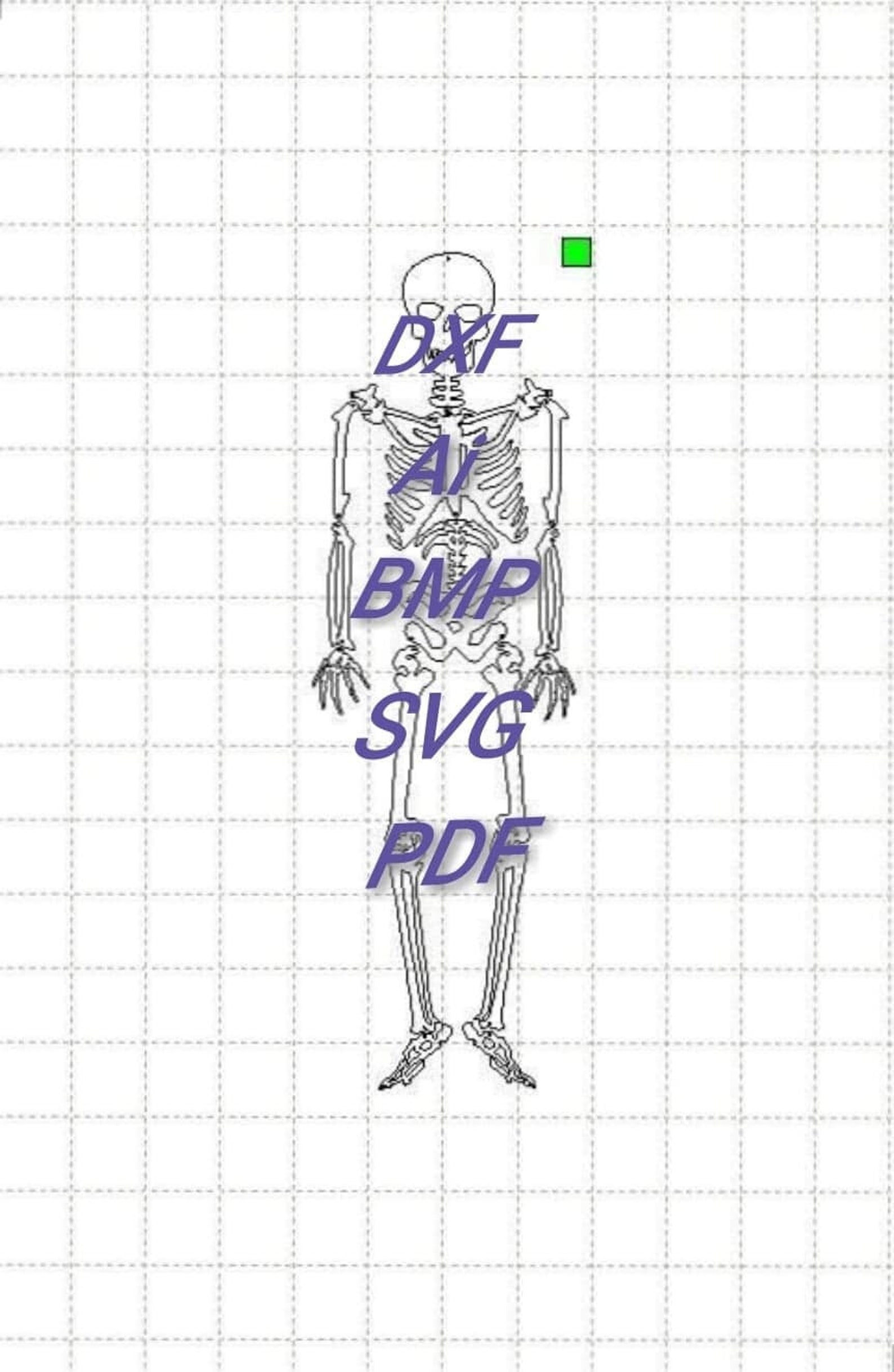 Skeleton Vector Files (dxf, Ai, Bmp, Svg, Pdf) - Etsy Canada