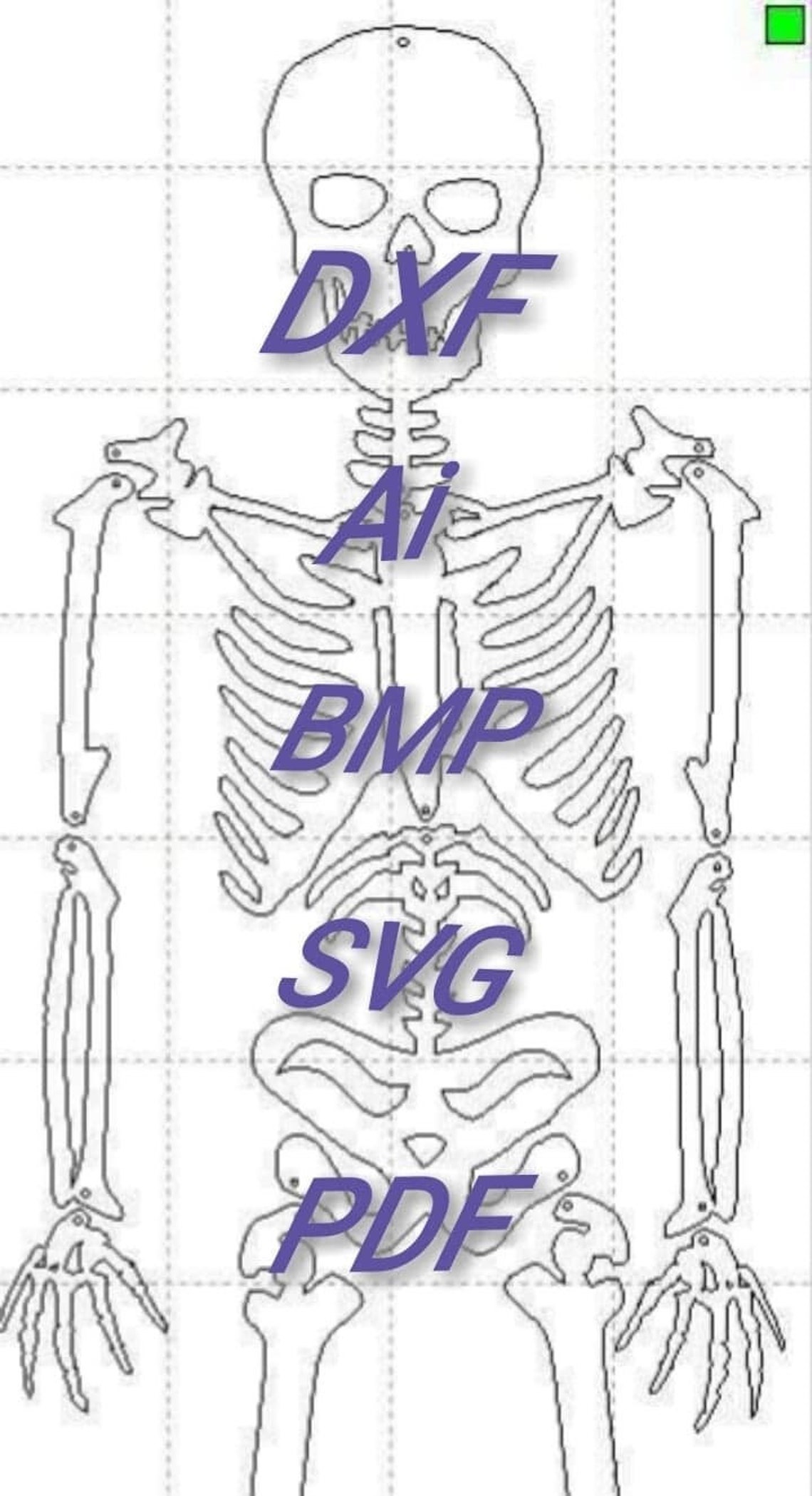 Skeleton Vector Files dxf Ai Bmp Svg Pdf | Etsy