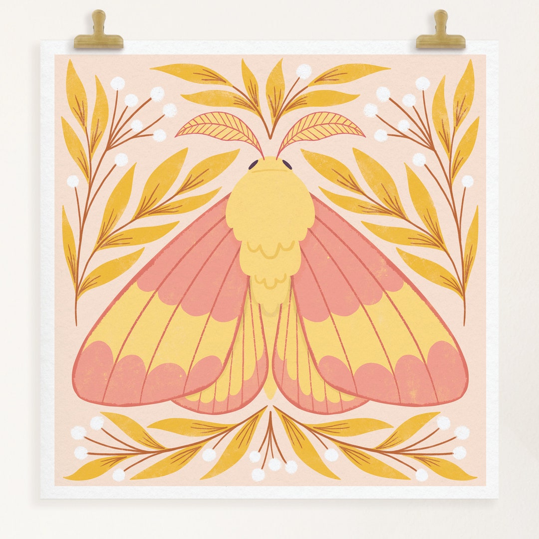 Rosy Maple Moth Art Print, 8 X 8 Inches Cottagecore Nature Inspired ...