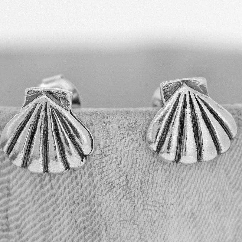Shell Stud Earrings - Etsy