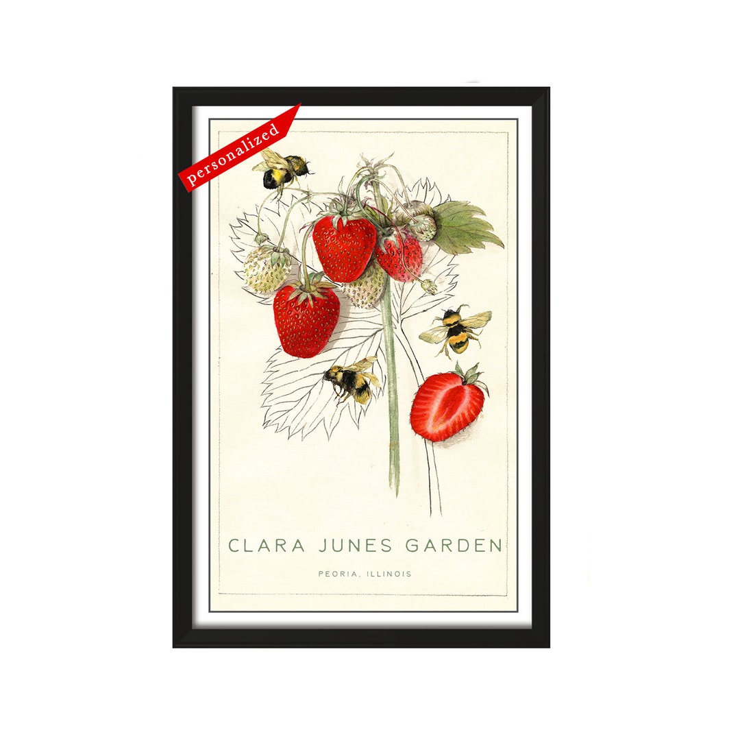 Personalized Strawberry Bee 11x17 Art Print, Pollinator, Beehive Art - Etsy