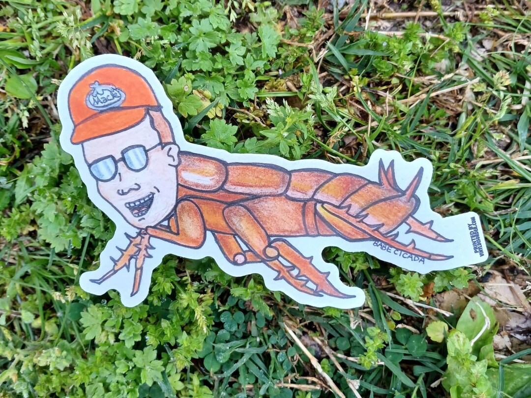 Dale's Dead Bug Dale Gribble/ Rusty Shackleford Sticker - Etsy