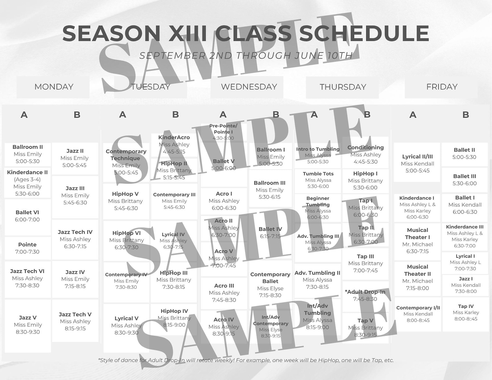 Custom Dance Studio Schedule Template, Minimalist Design (digital ...