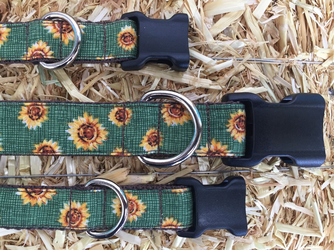 Sunflower Dog Collar Fall Floral Print Collar for Dogs Sunflower Collar ...