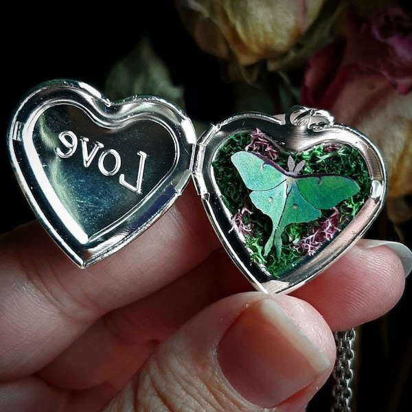 Secret Garden Locket - Etsy