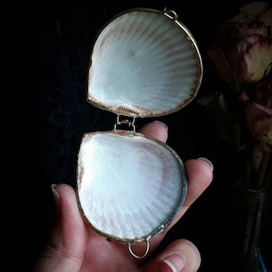 Mermaid Coin Purse/shell Box - Etsy