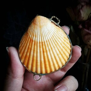 Mermaid Coin Purse/shell Box - Etsy