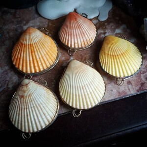 Mermaid Coin Purse/shell Box - Etsy