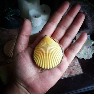 Mermaid Coin Purse/shell Box - Etsy