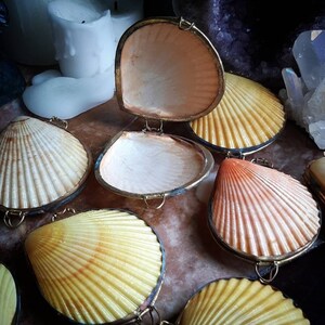 Mermaid Coin Purse/shell Box - Etsy