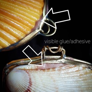 Mermaid Coin Purse/shell Box - Etsy