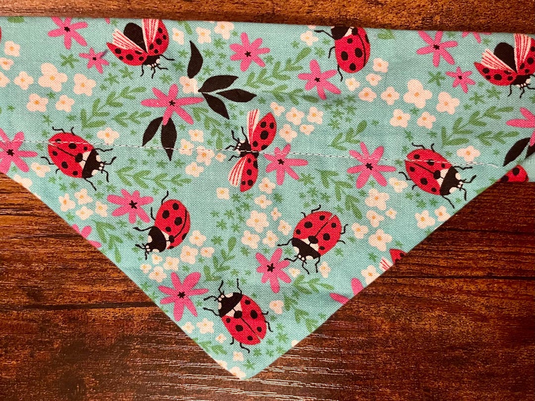 Blue Lady Bug Over the Collar Dog Bandana/dog Clothing/gifts/clearence ...