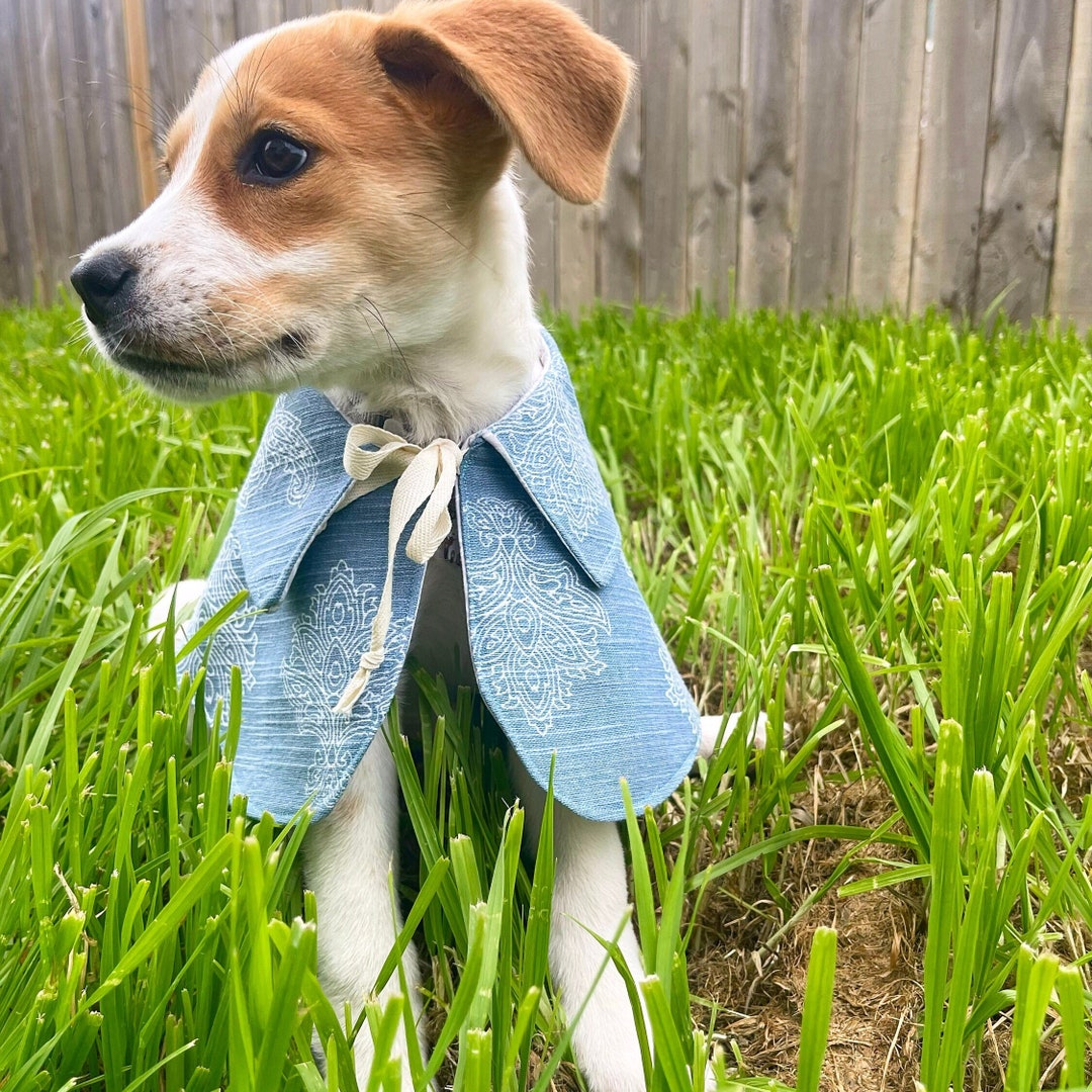 Dog Cape Denim Dog Cape Reversible Pet Cape - Etsy