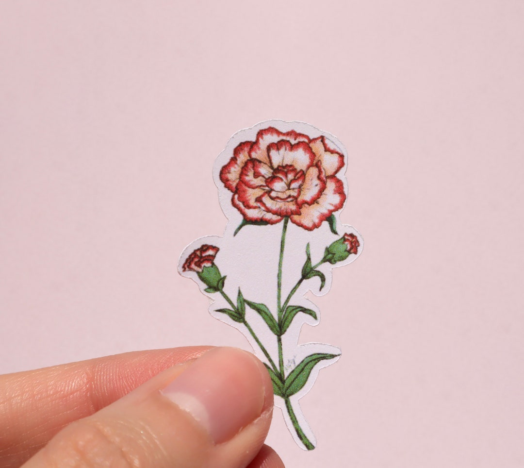 Carnation January Birth Month Flower Sticker, Paper Handmade Sticker - Etsy