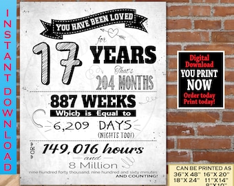 17 Birthday Sign - Etsy