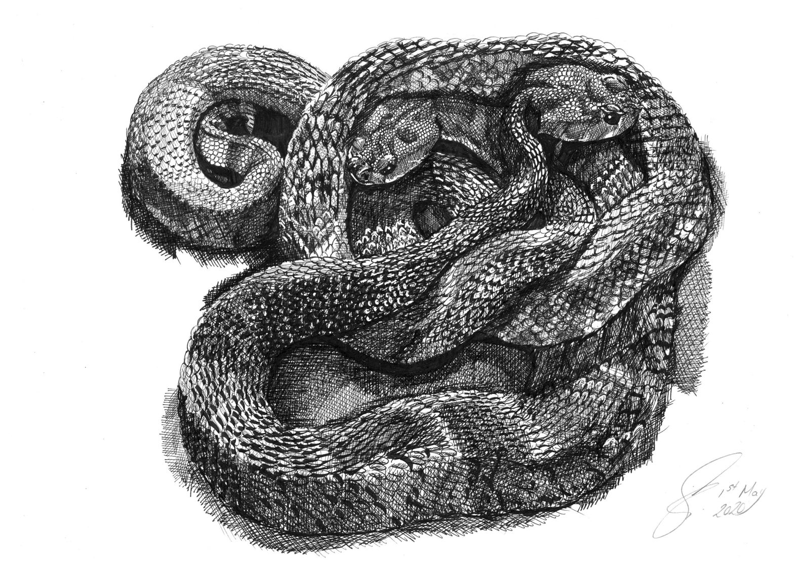 Snake Hug - Original Pen and Ink Artwork - Etsy Italia