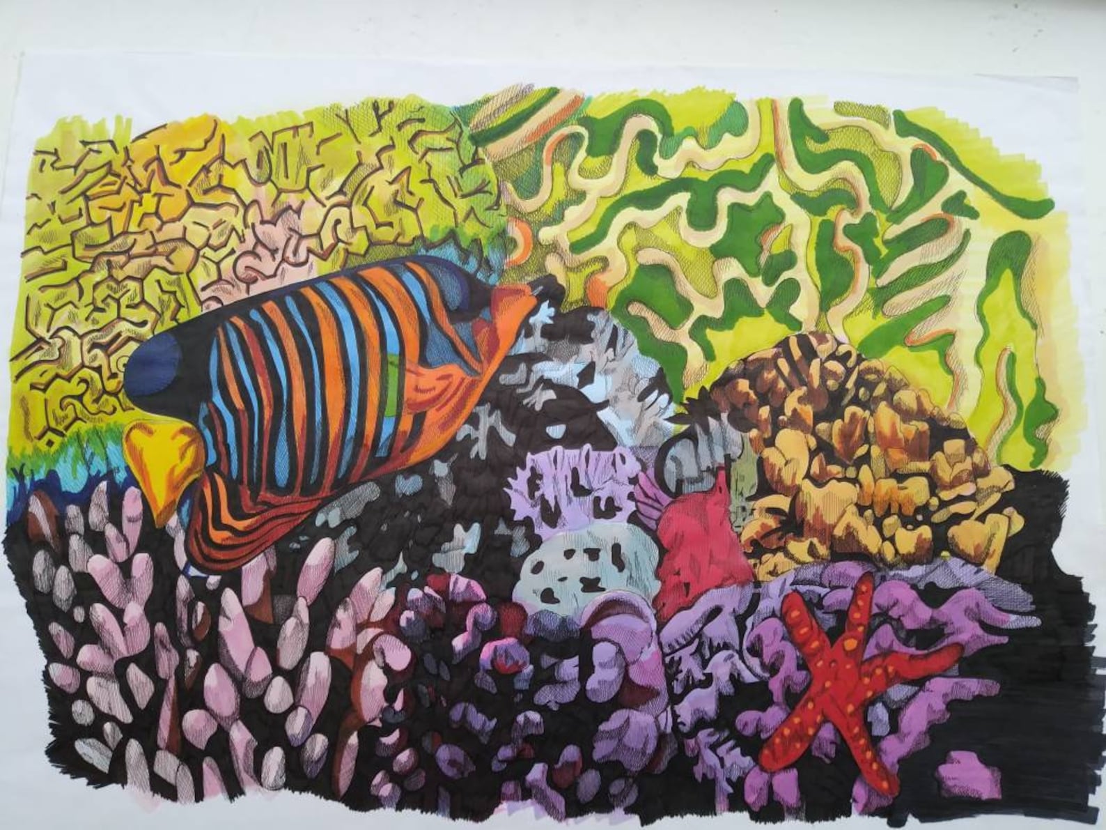 Pen and Ink Print Tropical Fish With A3 White Mount - Etsy