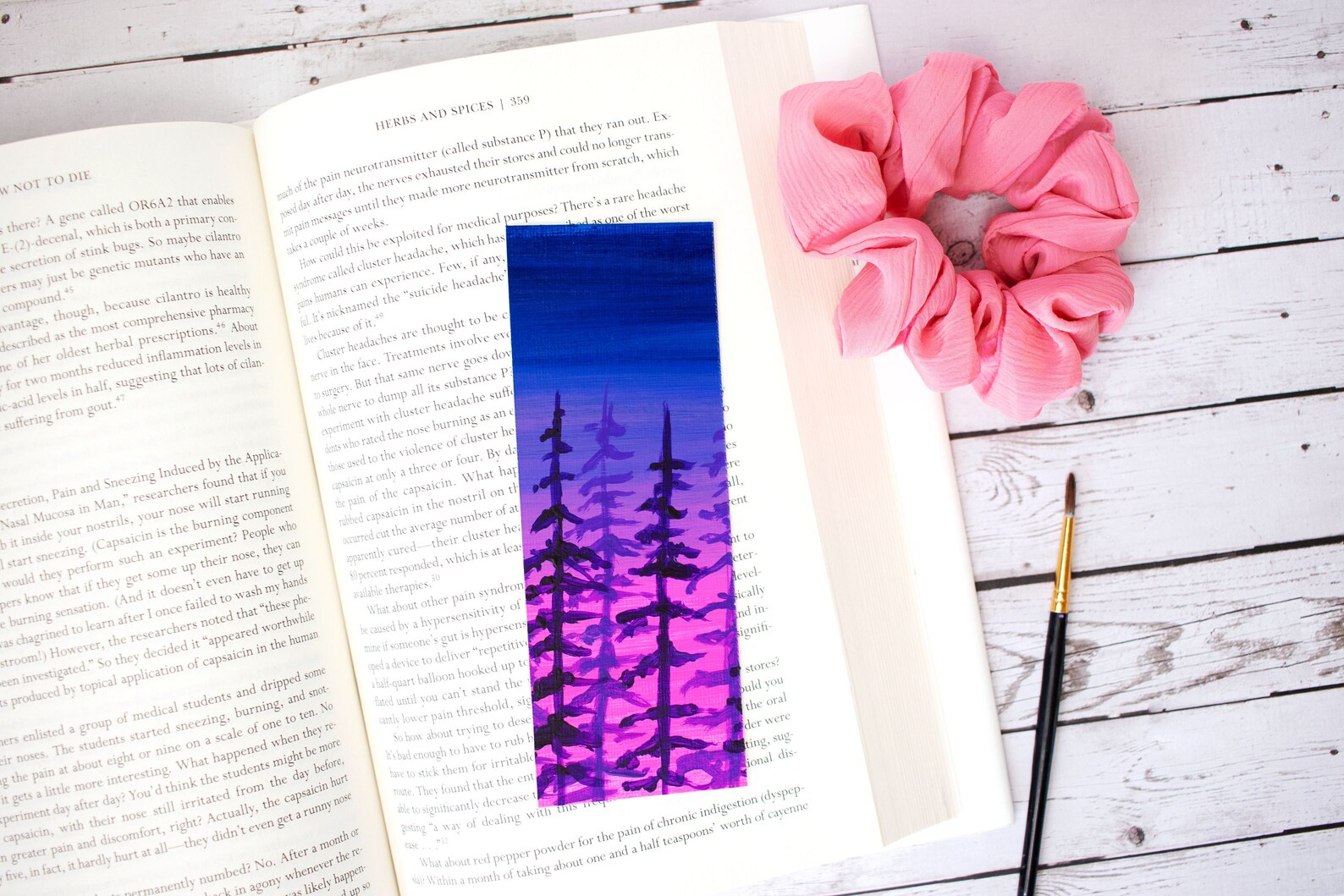 Sunset Hand Painted Bookmark - Etsy