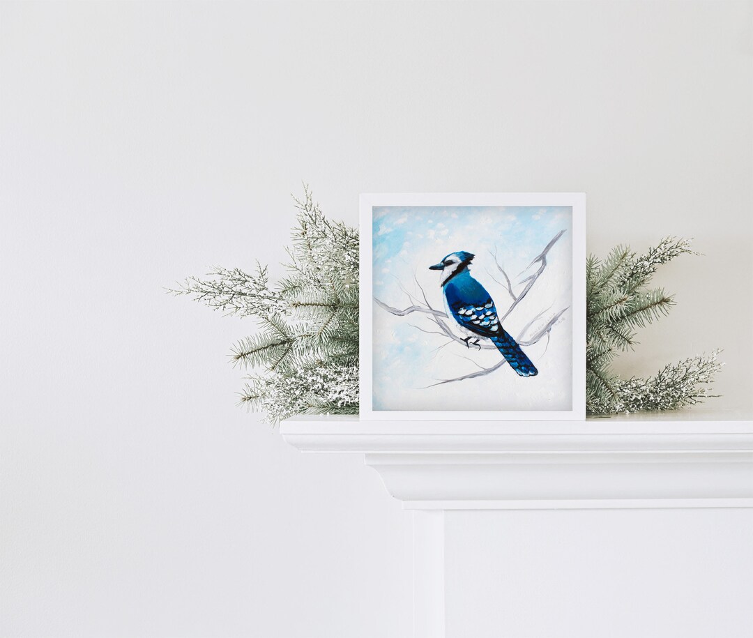 Blue Jay Fine Art Print - Etsy