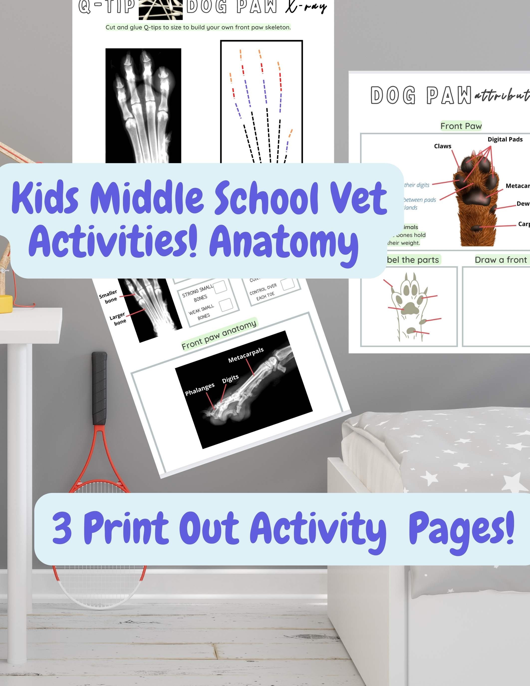 Middle School Kids Vet Activities Downloadable Printables Animal Dog ...