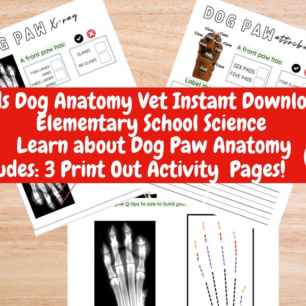Kids Vet Printables - Etsy