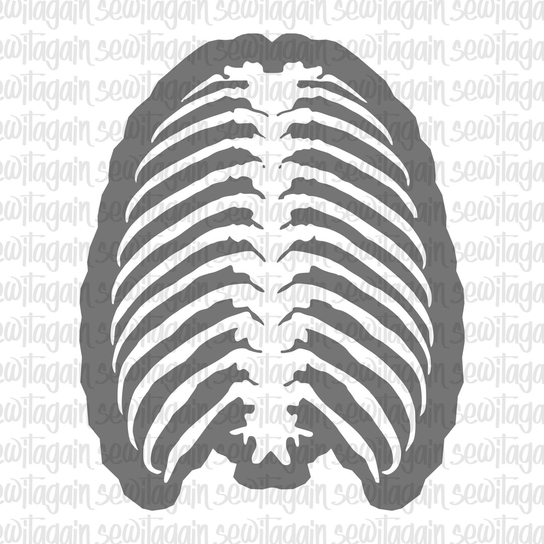 Back Ribs Design Digital Stencil PDF Download Printable at Home Easy ...