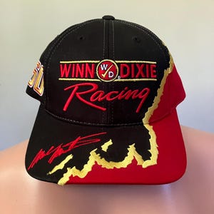 Vintage Mark Martin Winn Dixie Flames Snapback Hat 90’s - Etsy