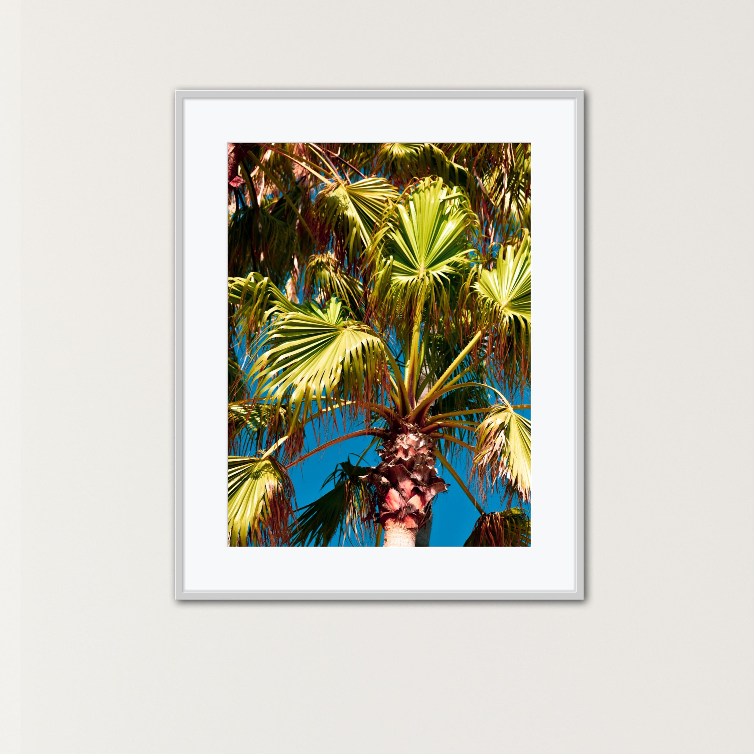 Printable Palm Tree Color Photograph, Digital Download, Wall Decor ...