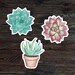 Succulent Decal - Succulent Vinyl Decal - Succulent Sticker - Car Decal ...