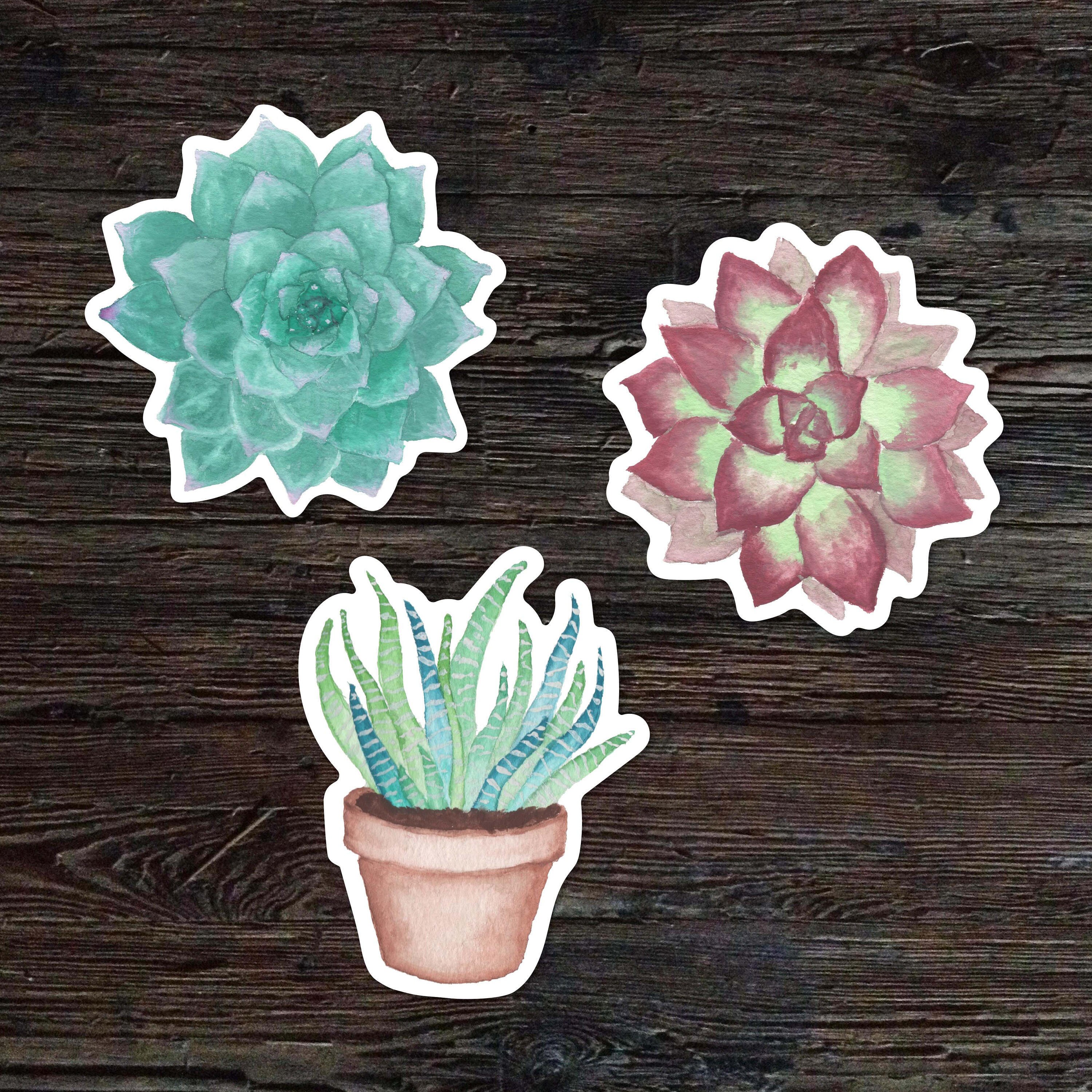 Succulent Decal - Succulent Vinyl Decal - Succulent Sticker - Car Decal ...